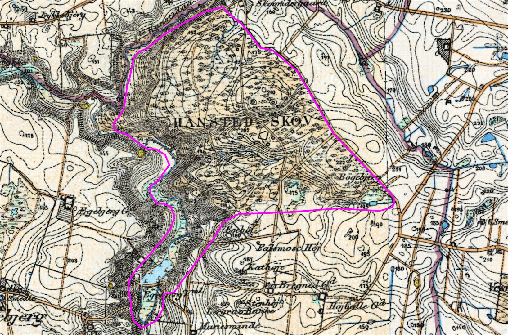 Hansted Skov